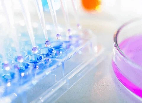 Stem Cell Core - Target ALS