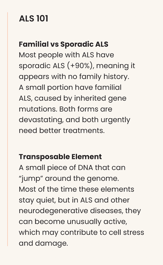 Driving Breakthroughs: Target ALS Grants Empower the Next Wave of ALS ...
